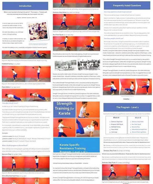 Free Guide: Strength & Cardio for Karate Practitioners