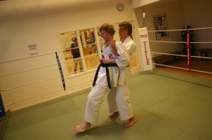 23 Unorthodox Two-Person Karate Exercises