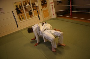 23 Unorthodox Two-Person Karate Exercises