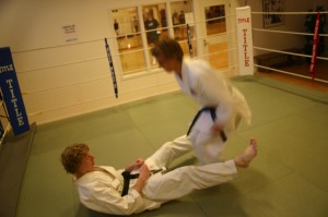 23 Unorthodox Two-Person Karate Exercises