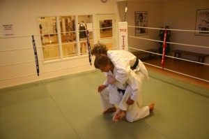 23 Unorthodox Two-Person Karate Exercises