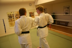 23 Unorthodox Two-Person Karate Exercises
