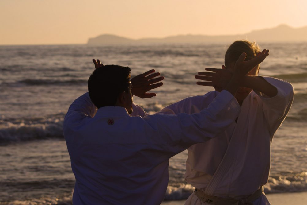 "The 100 Deadliest Karate Moves" - The REAL Meaning of Karate