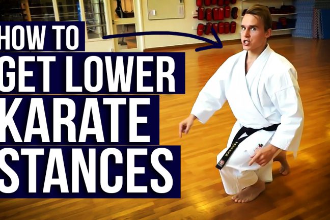 The Stances of Karate – Form, Function and Footprints