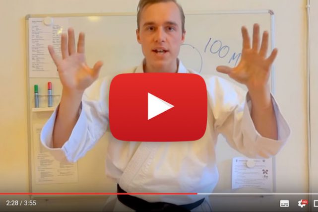 "The 100 Deadliest Karate Moves" - The REAL Meaning of Karate