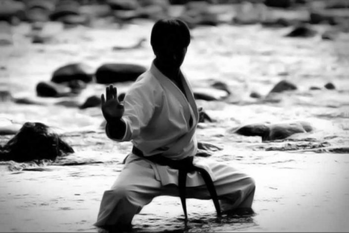 The 10 Commandments of Karate Nerds™