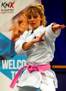 REVIEW: Here's What Happened at KNX17 (The Karate Nerd Experience 2017)