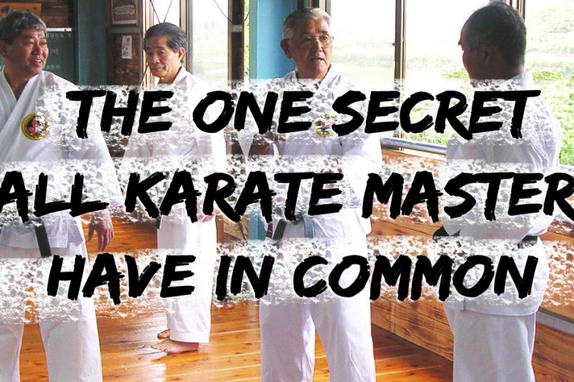 Free Guide: Strength & Cardio for Karate Practitioners